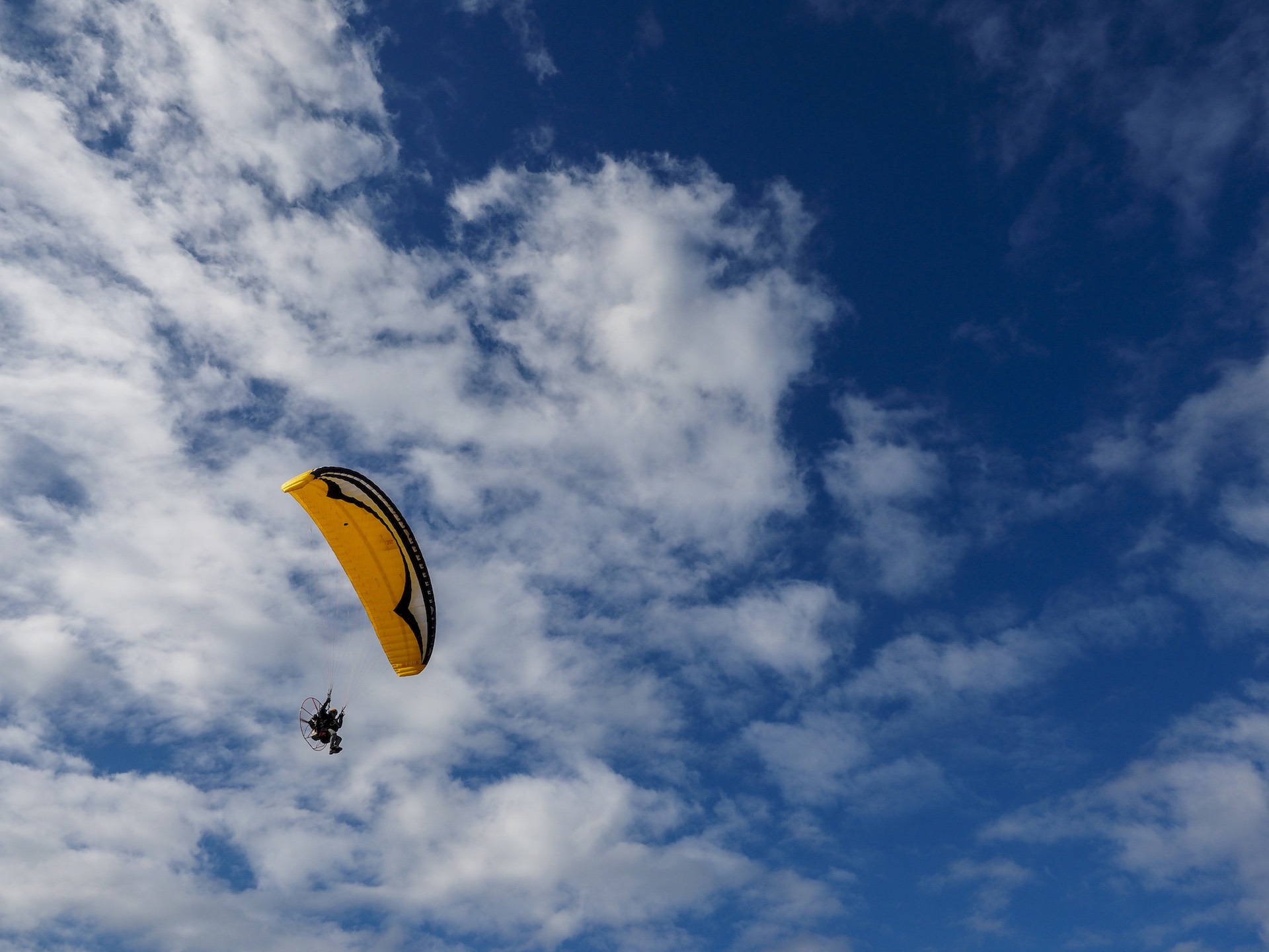 Paraglider at Ray’s Rest – Aucklife