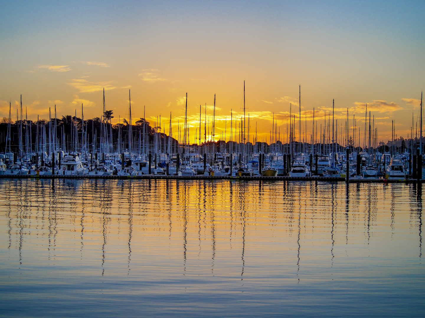 Westhaven Marina Sunset – Aucklife