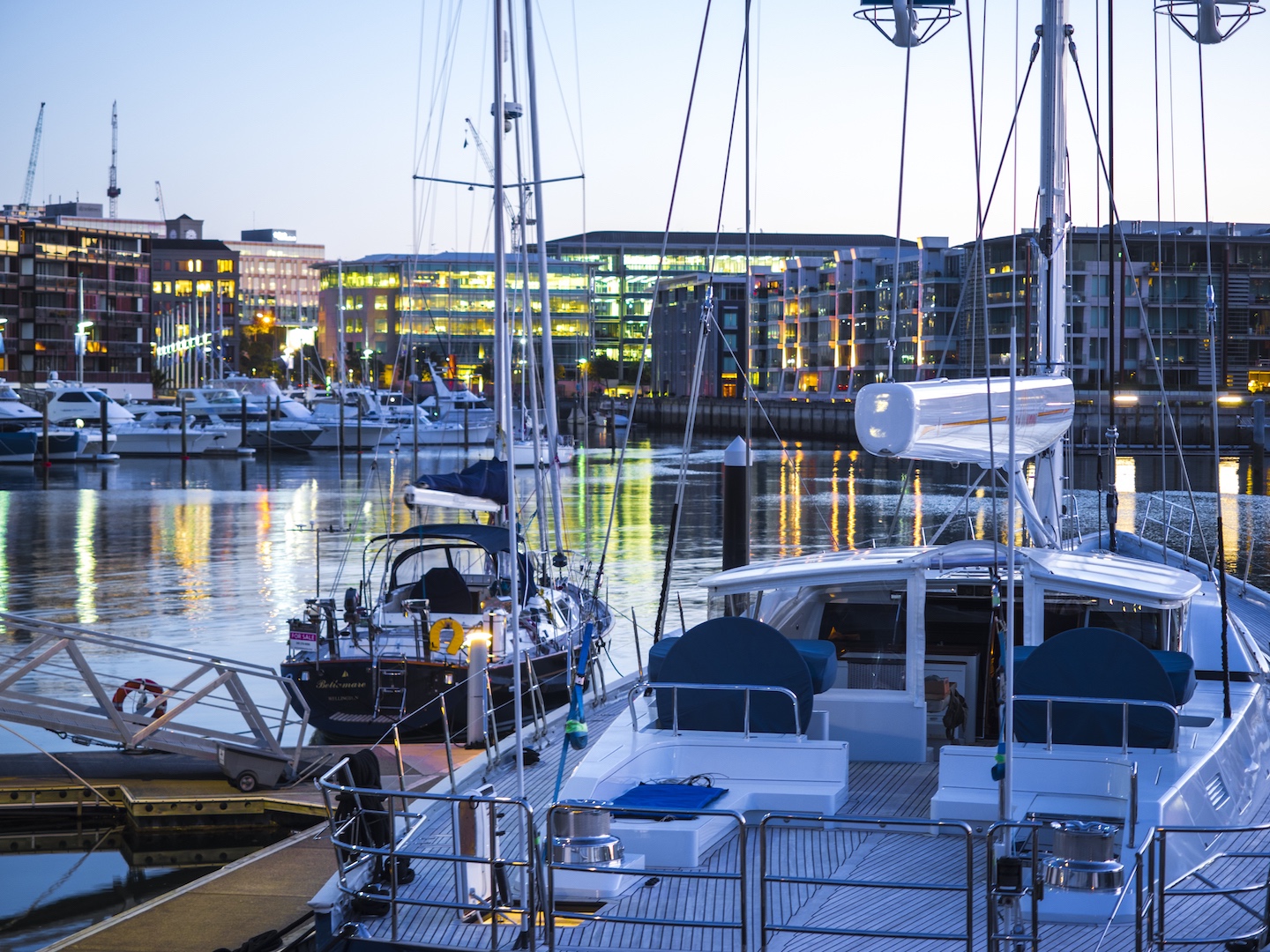 Auckland Anniversary – Aucklife