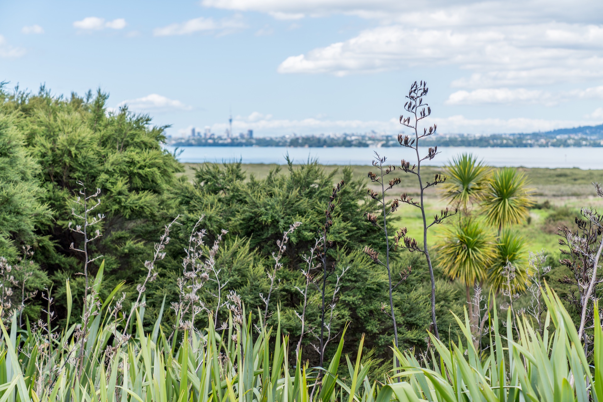 Harbour View Beach Res – Aucklife
